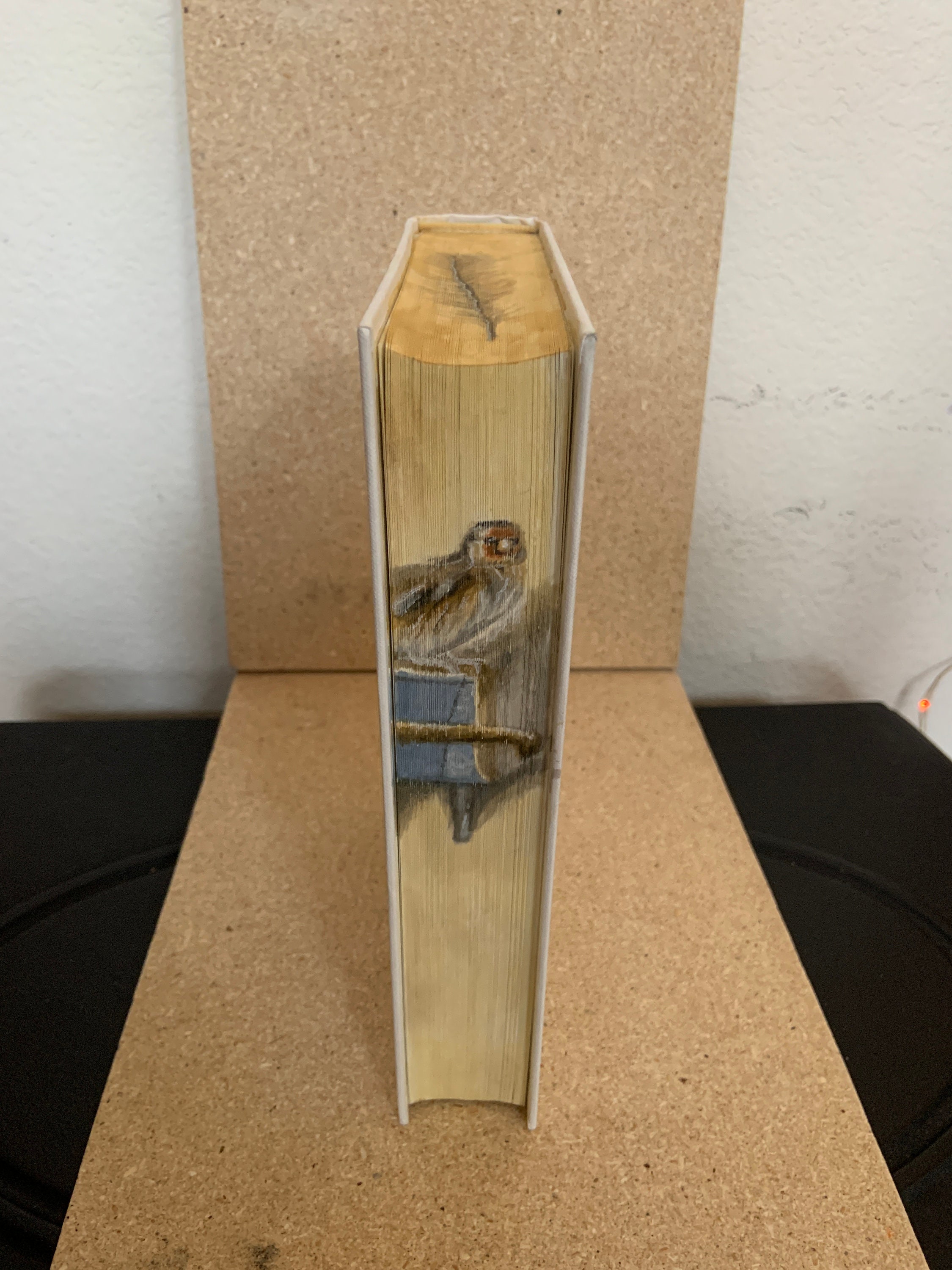 The Goldfinch Fore-edge Book Painting - Etsy