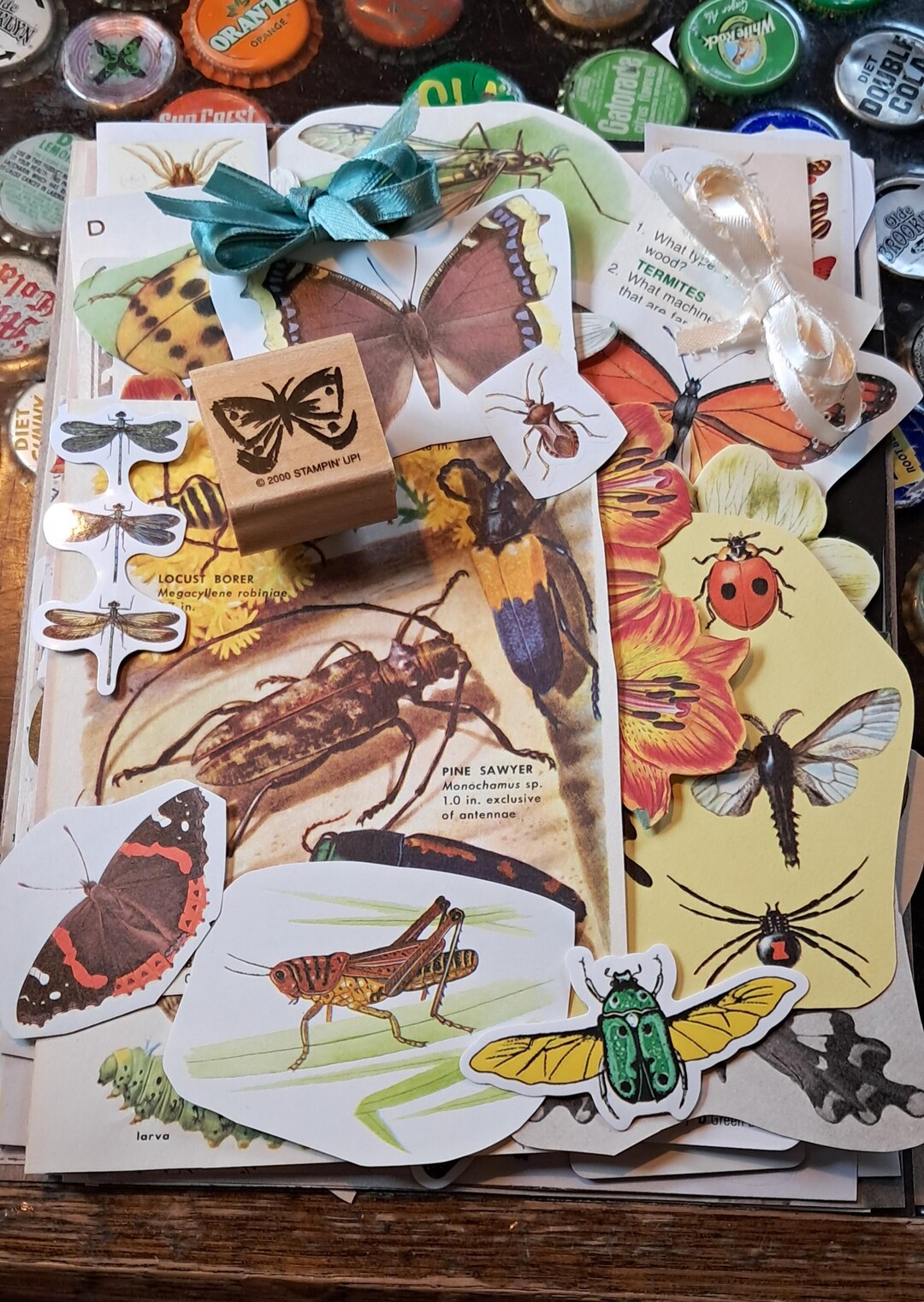 70+ Piece Insect Butterfly Themed Vintage Ephemera Scrapbook Supplies ...