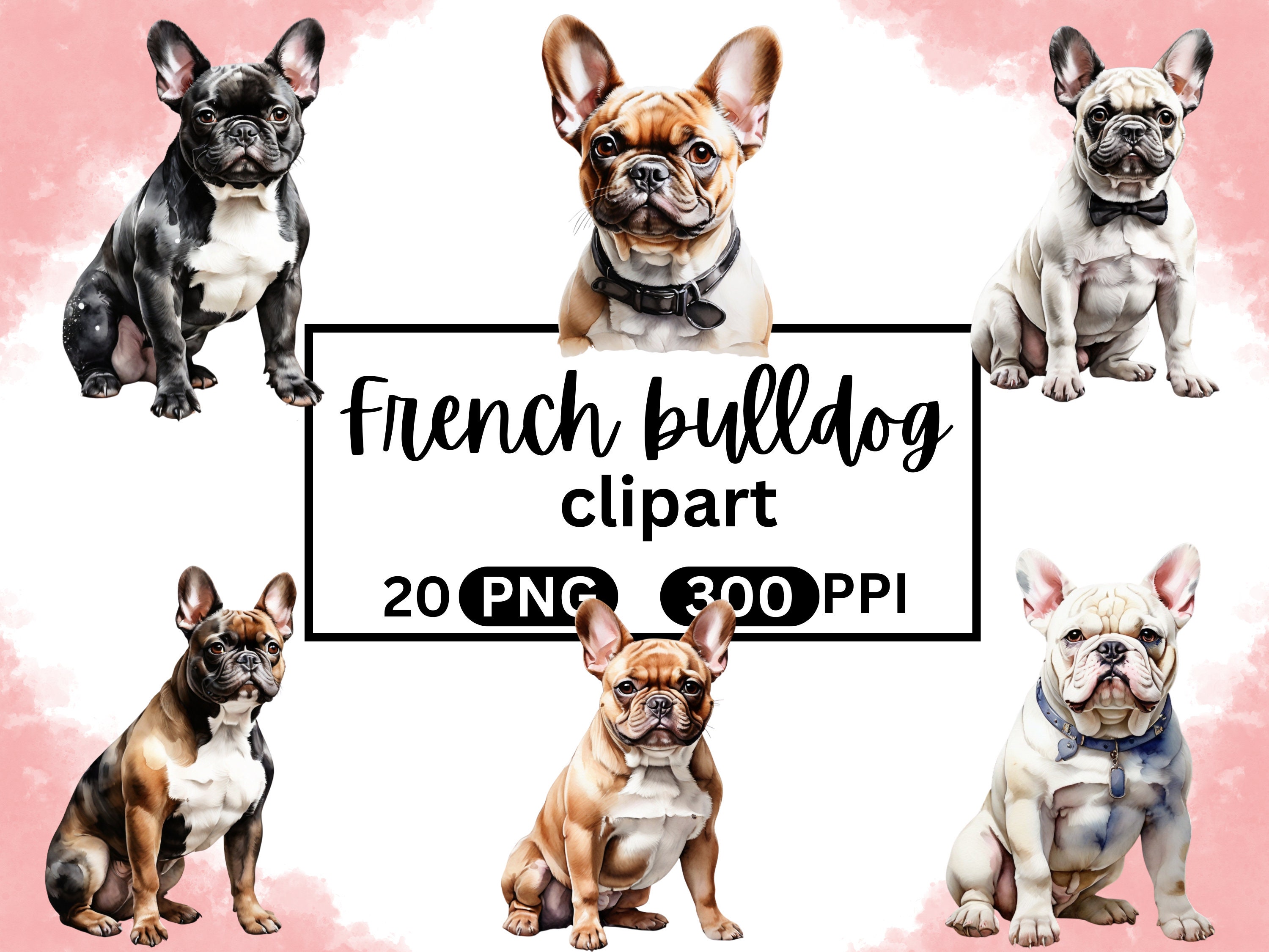 Watercolor French Bulldog Clipart-french Bulldog Clip Art-digital ...