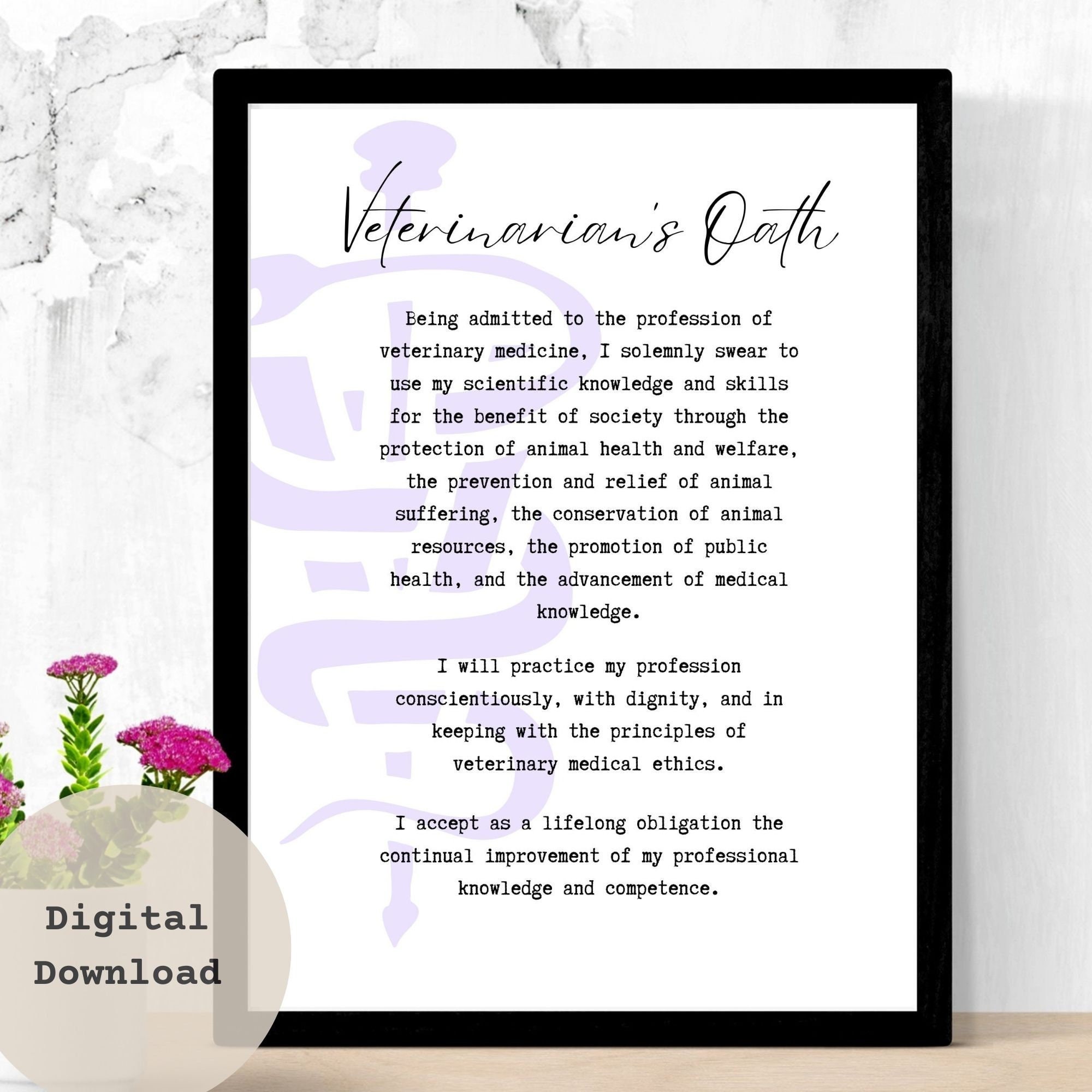 Veterinarian's Oath Digital Download Pdf Printable Wall - Etsy