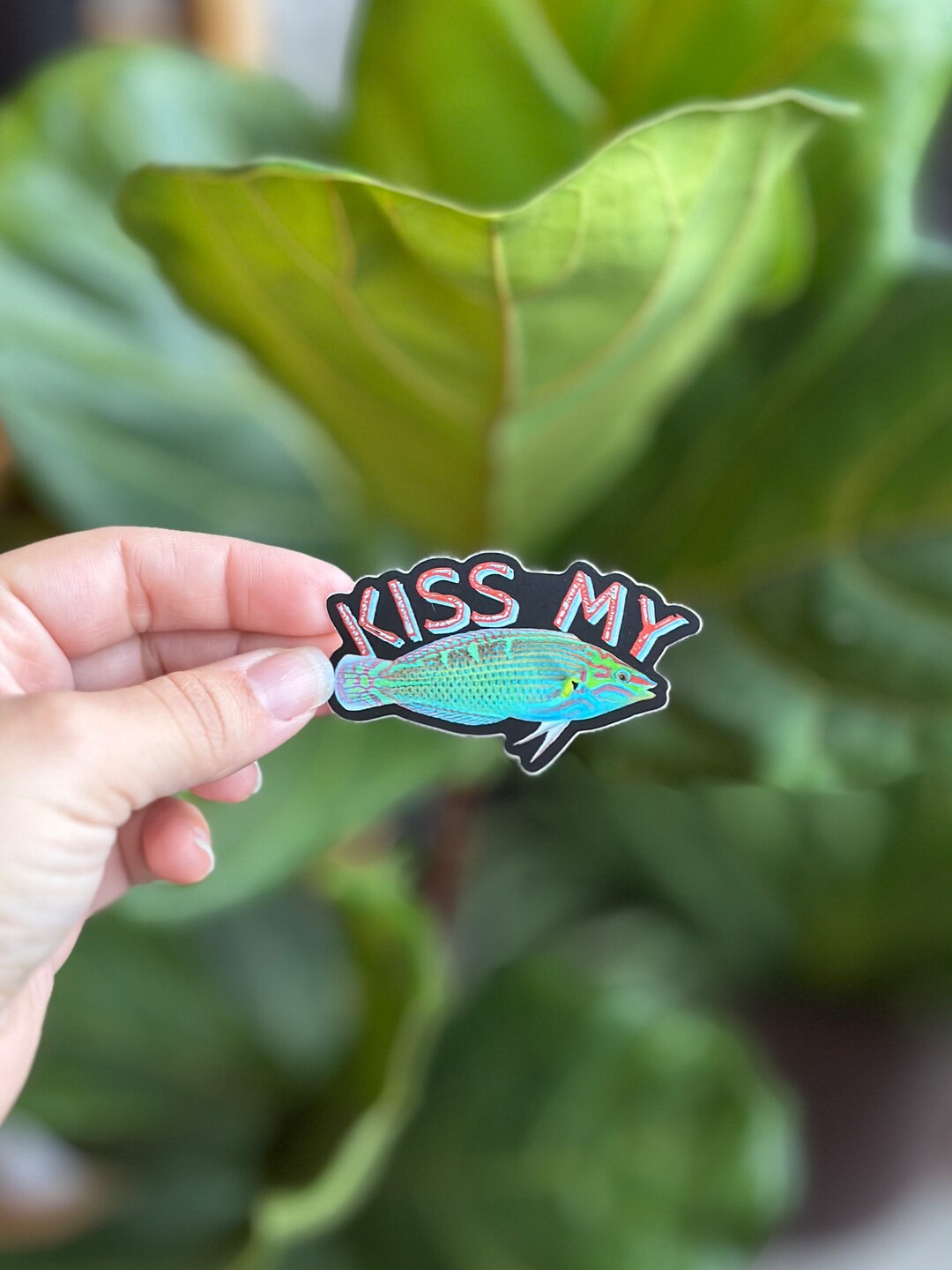Kiss My Wrasse Sticker, Funny Fish Sticker, Saltwater Aquarium Gift ...