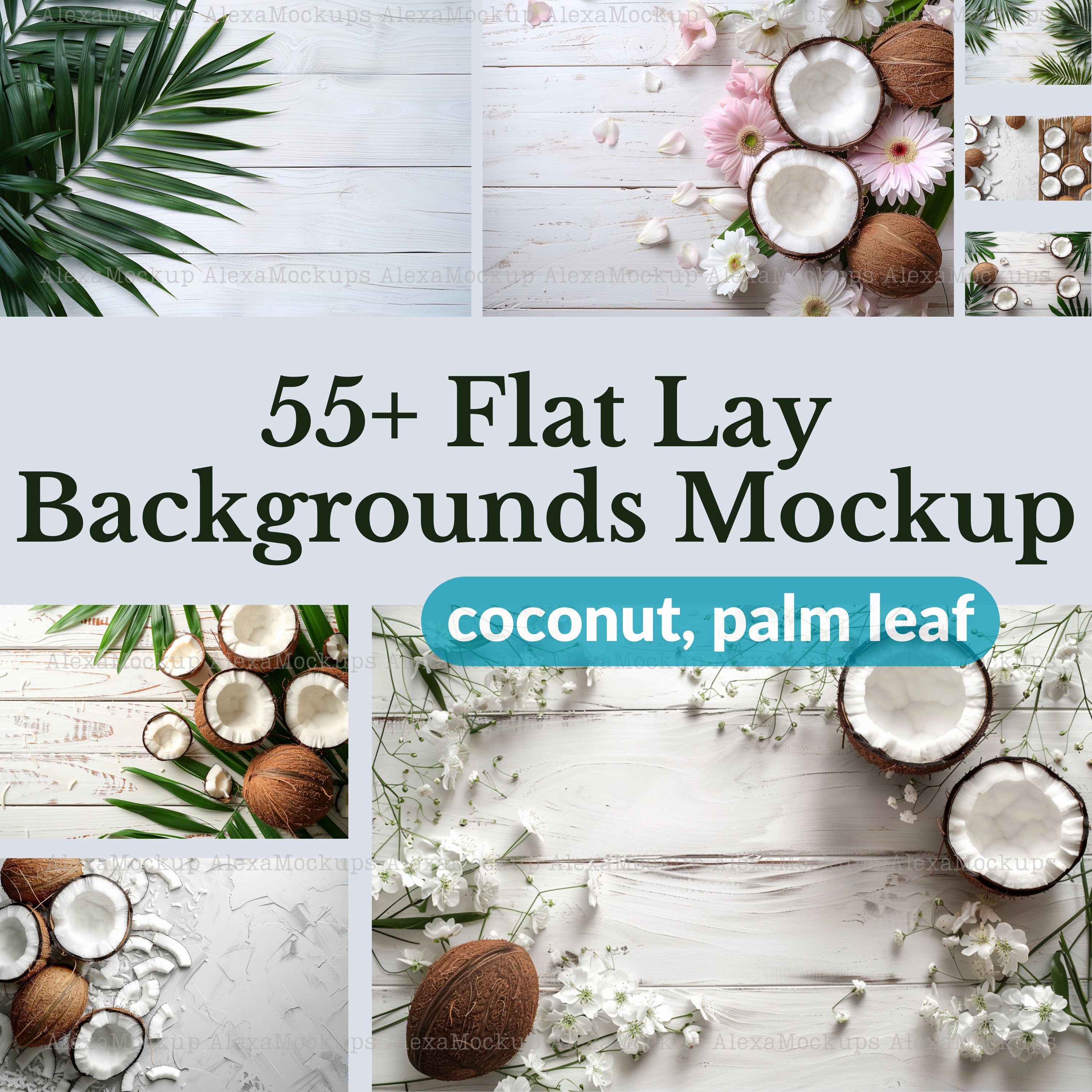 55 Flat Lay Mockup Bundle Coconut Background Bundle Stock Photography ...
