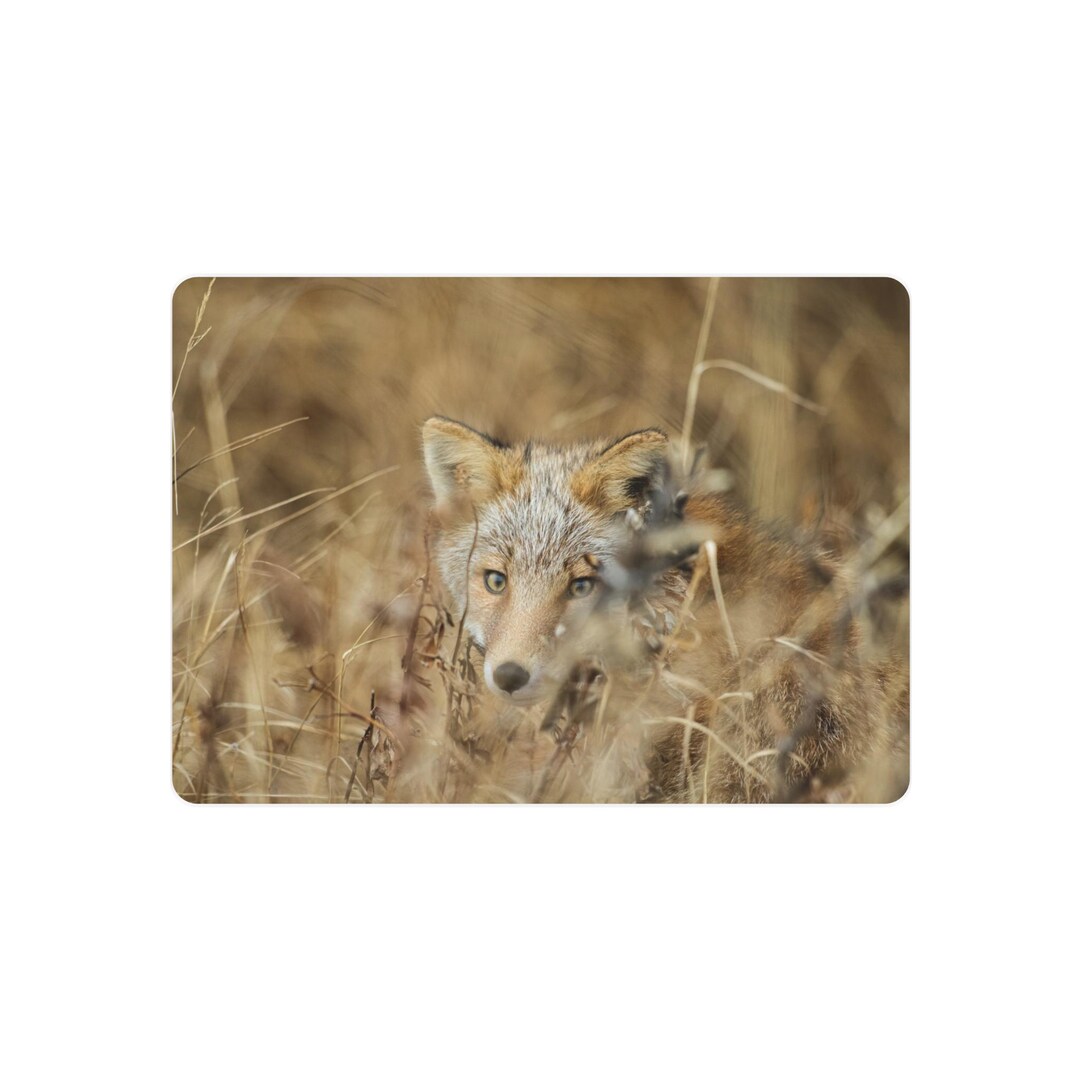 Metal Art Sign, Cross Fox Pup Wildlife Wall Decor, Kodiak Alaska Nature ...