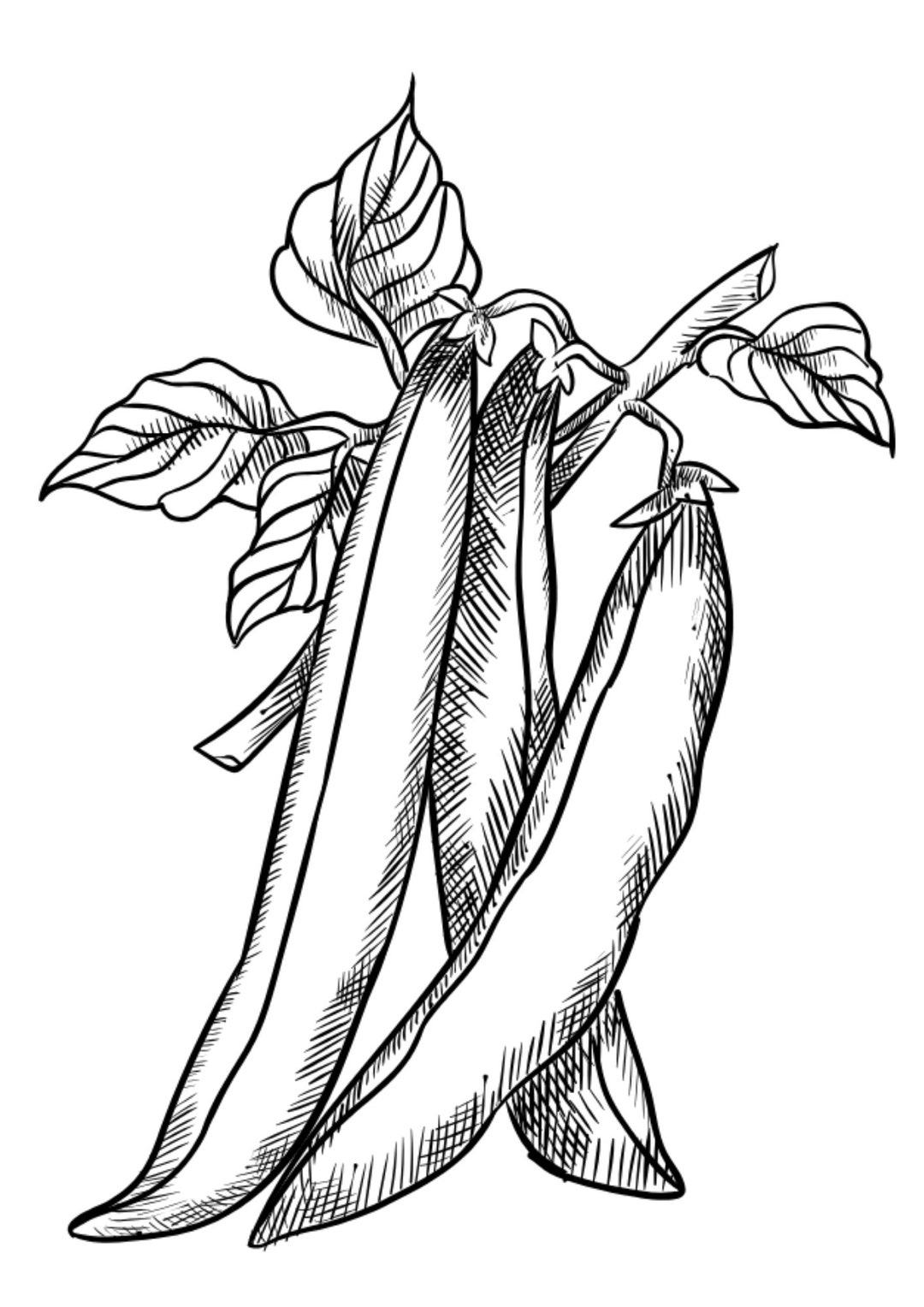 Beautiful Sketch Drawing Pee Sketch Art Digital Print - Etsy