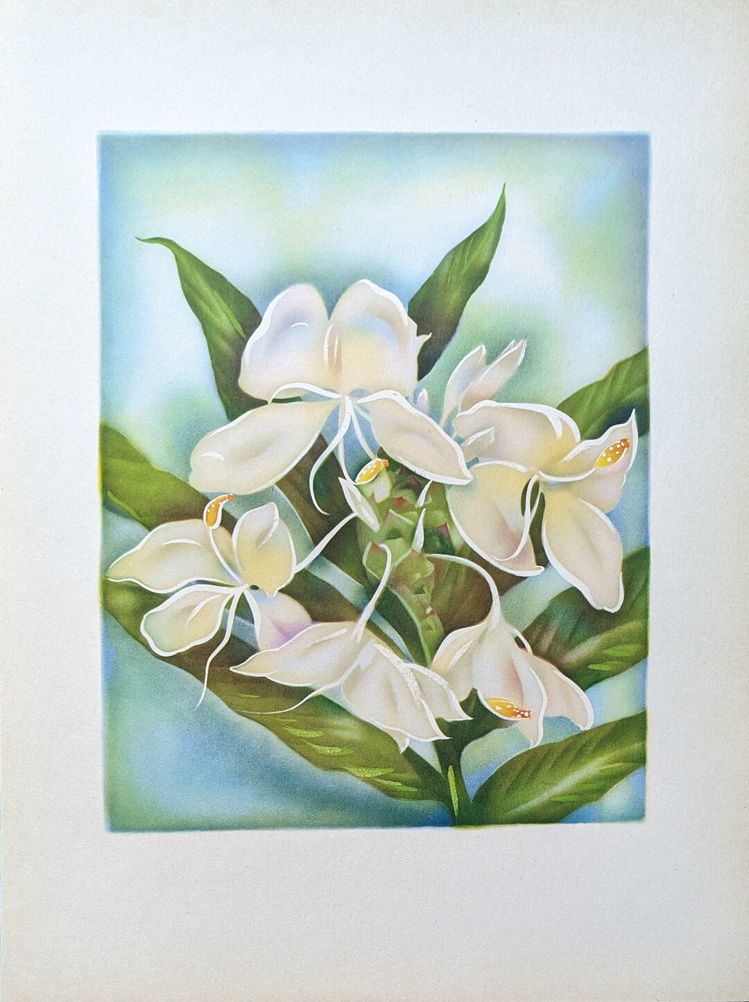 Vintage Tropical Wall Art white Ginger, Mint Condition Lithograph ... Vintage Tropical Wall Art white Ginger, Mint Condition Lithograph ...
