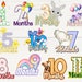 DIGITAL BABY MONTHLY Themed Cake Topper - Baby Monthly Milestone Themed ...