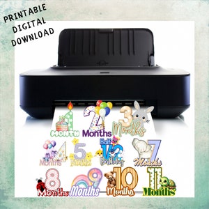 DIGITAL BABY MONTHLY Themed Cake Topper - Baby Monthly Milestone Themed ...