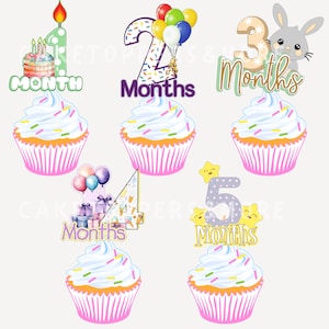 DIGITAL BABY MONTHLY Themed Cake Topper - Baby Monthly Milestone Themed ...