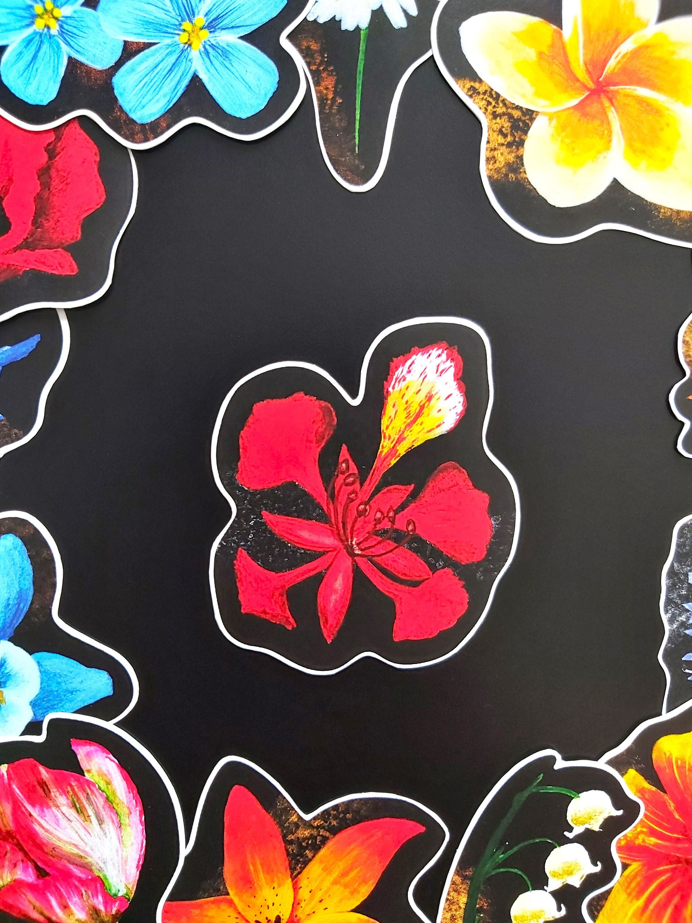 Colorful Flower Sticker, Delonix Sticker, Sticker Set - Etsy