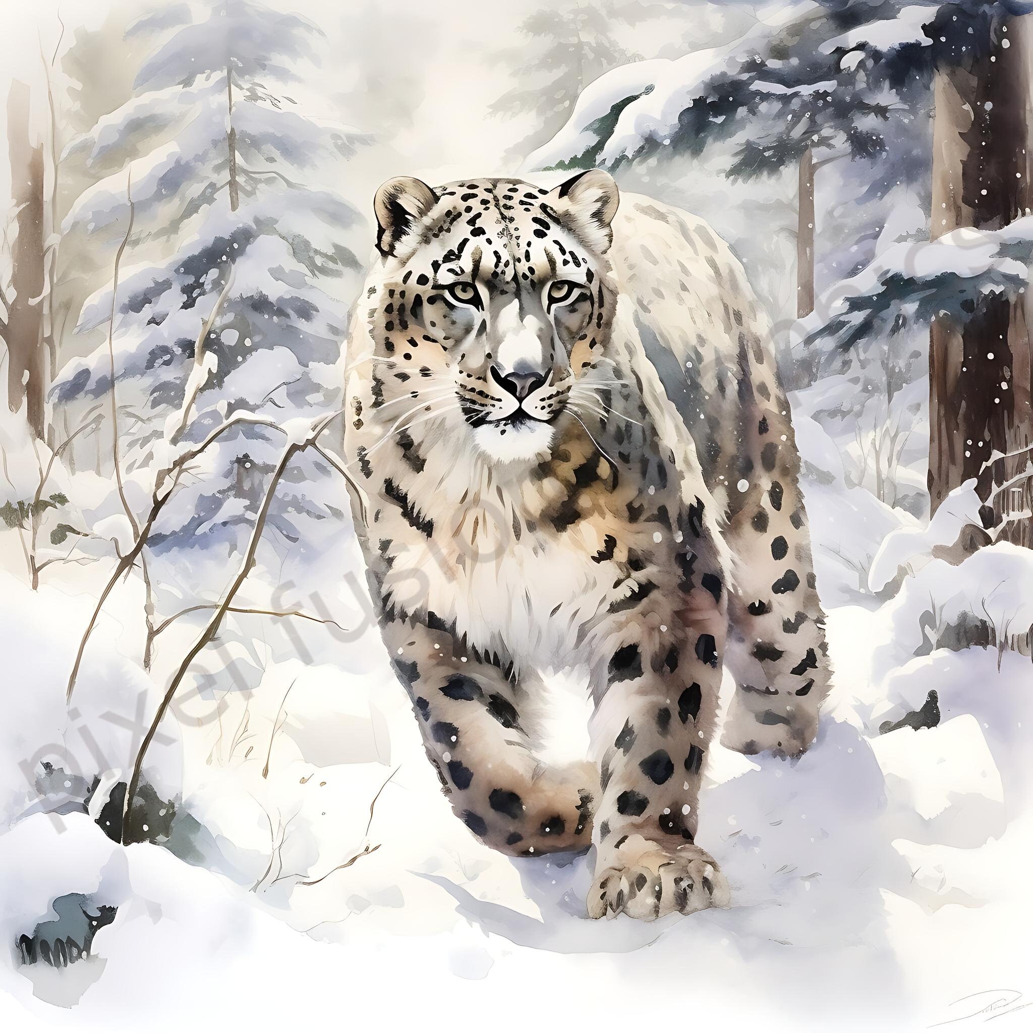 Snow Leopard Clip Art High Quality Resolution 300 DPI - Etsy