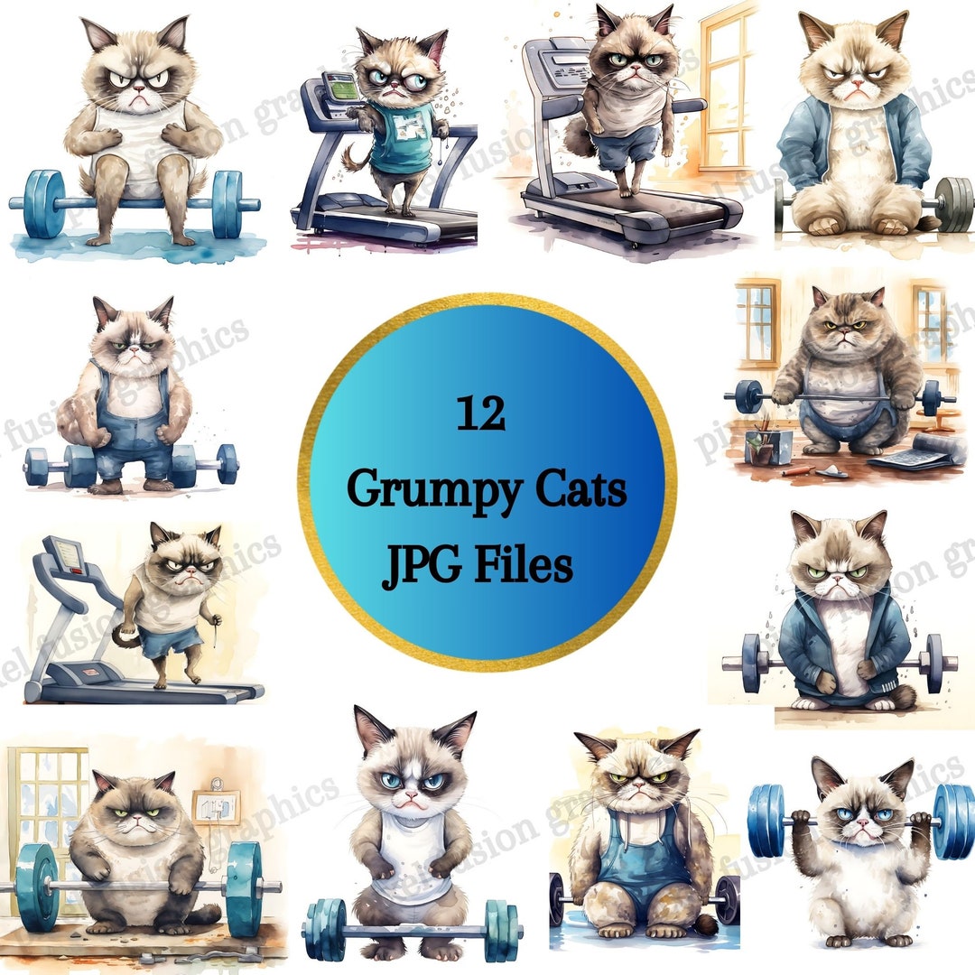 Fat Cat Working Out Cat Watercolor Clip Art, Fat Cat in the Gym High ...