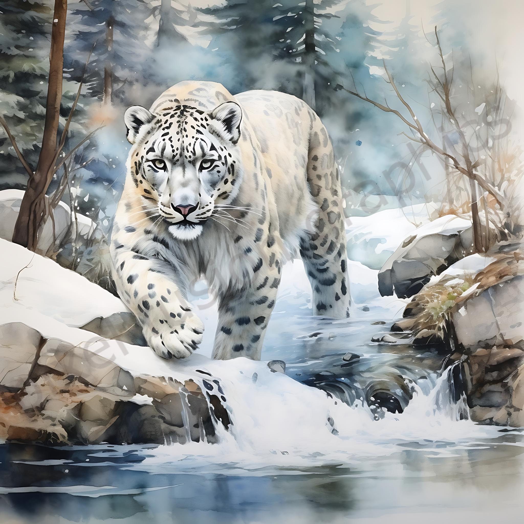 Snow Leopard Watercolor Clip Art, High Quality Resolution, 300 DPI ...