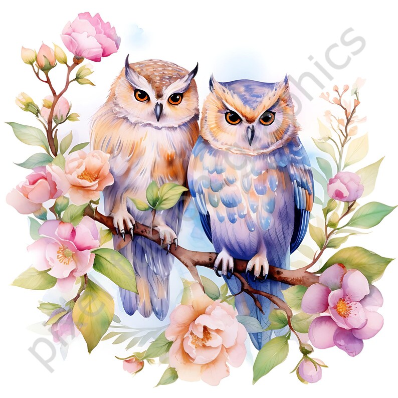 Watercolor Owls Clip Art Countryside Spring and Summer Days Wild Life ...