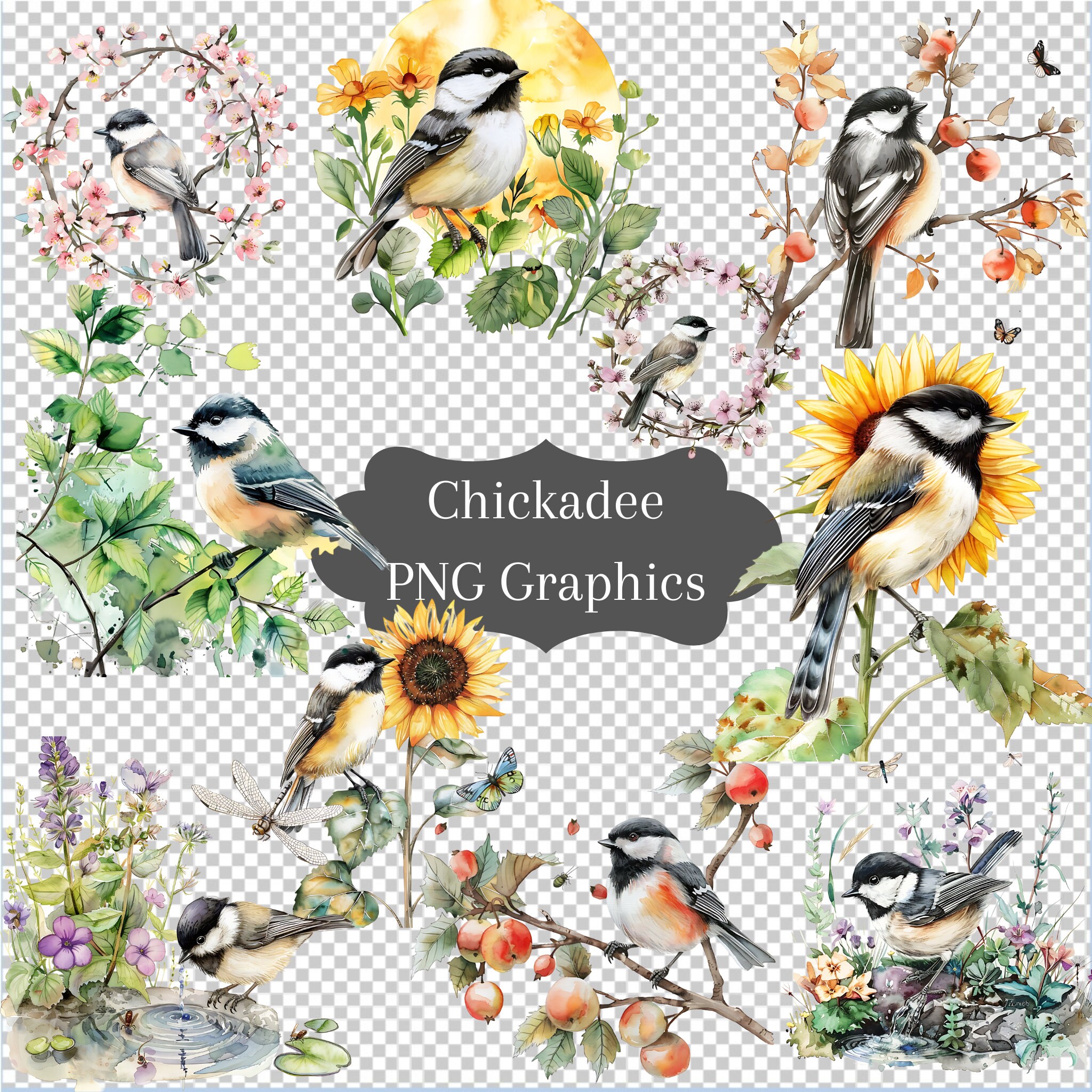NEW Chickadee Bird Watercolor PNG Clip Art Spring and Summer Chickadee ...