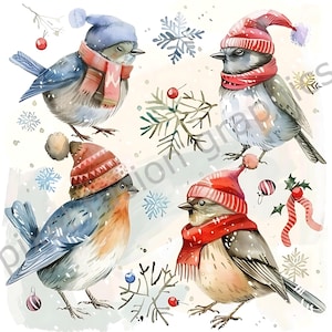 Cute Winter Birds Clip Art Watercolor Whimsical Bird Clip Art 10 JPG ...