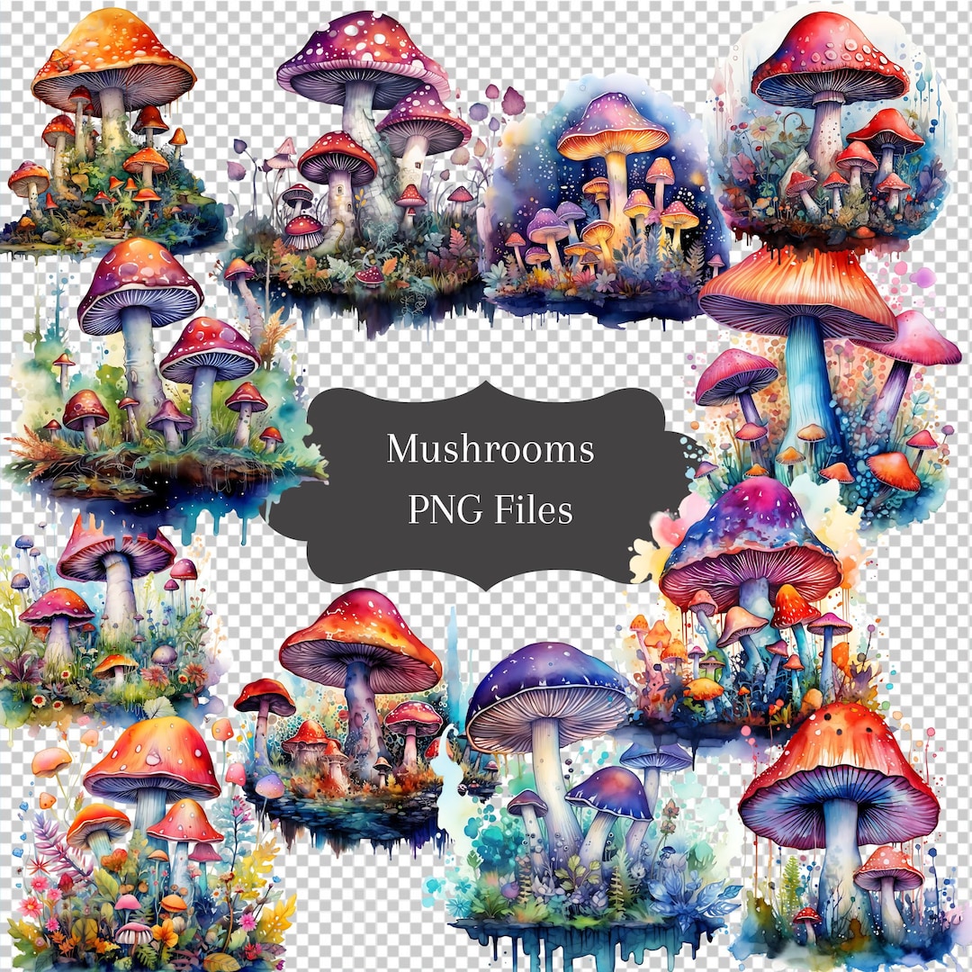 Mushroom Clipart Set 1, PNG, Watercolor, High Quality Definition, 300 ...