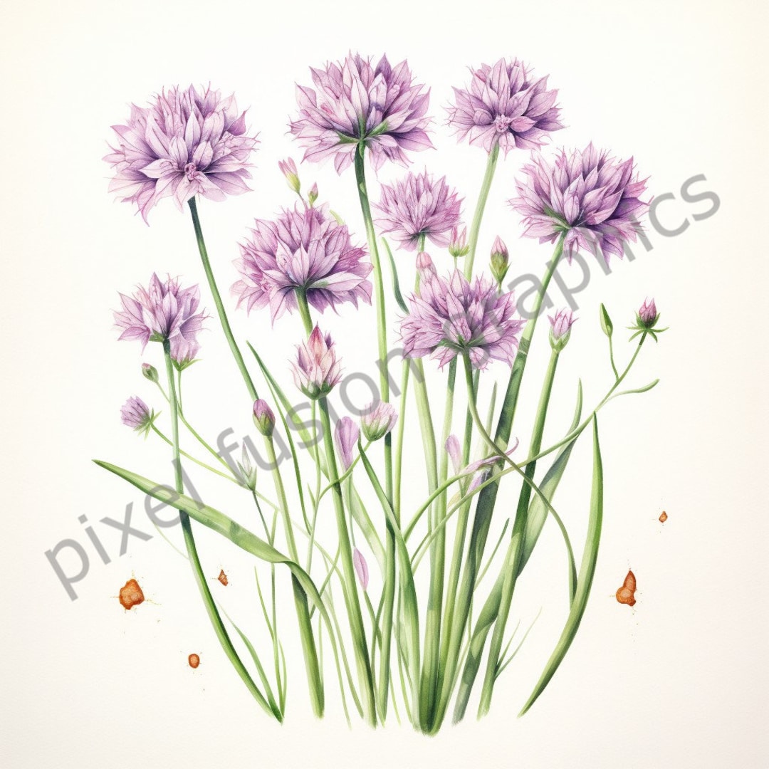 Herbarium Watercolor Clip Art Set 2 High Quality Resolution - Etsy