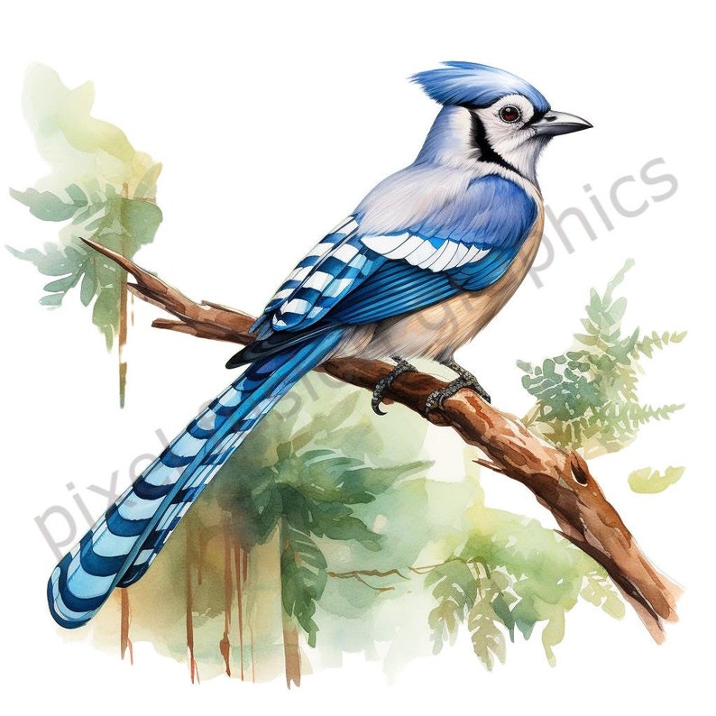 PNG Blue Jay Watercolor Clip Art With Flowers, Leaves on Branches Day ...