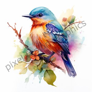 Watercolor Spring Birds Clip Art, High Quality Resolution, 300 DPI ...