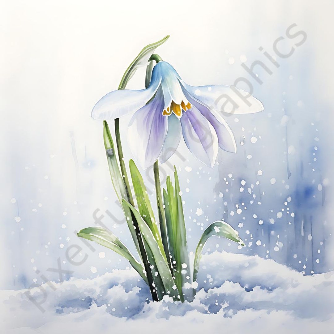 Snowdrop January Birthday Flower Watercolor Clip Art, High Quality ...