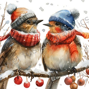 Cute Winter Birds Clip Art Watercolor Whimsical Bird Clip Art 10 JPG ...