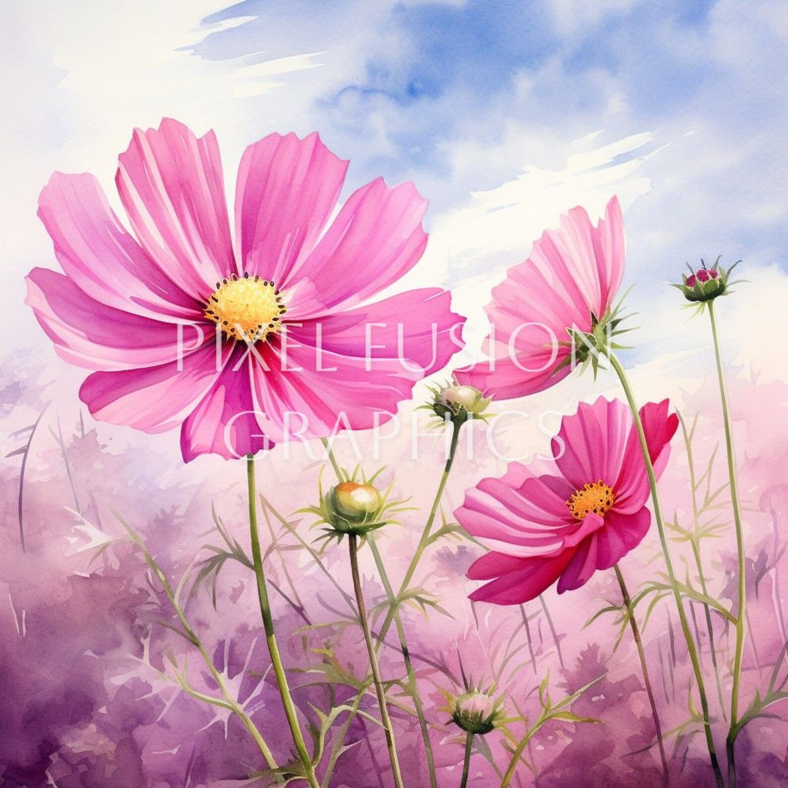 Cosmos Watercolor October Flower Clip Art, High Quality Resolution ...