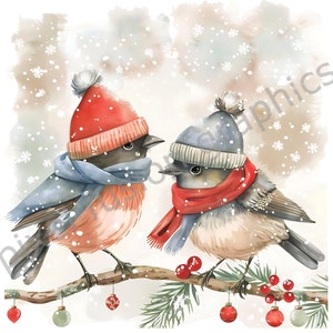 Cute Winter Birds Clip Art Watercolor Whimsical Bird Clip Art 10 JPG ...