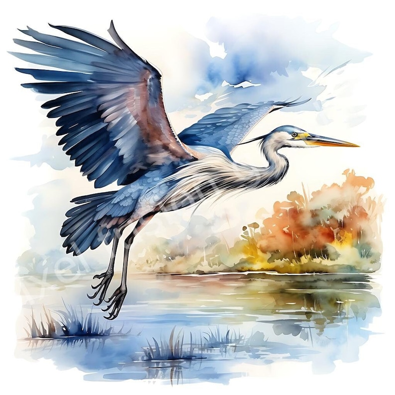 Heron Clip Art Watercolor Blue Heron Clipart Nursery Bird Art Digital ...