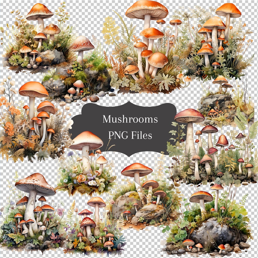 Mushrooms Watercolor Graphics, PNG Sized up to 20x20 In., High Quality ...