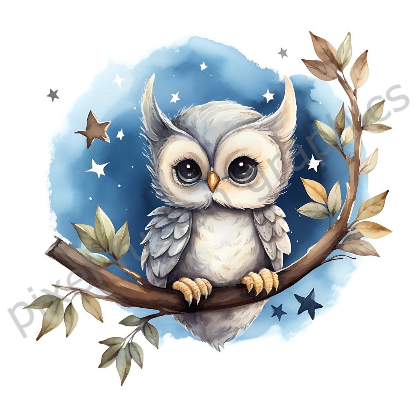 Cute Baby Owls Clip Art in Watercolor, High Quality Resolution, 300 DPI, Instant Download ...
