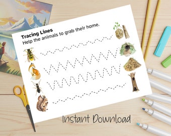 Practice ABC Tracing Homeschool Worksheet for Preschool Kindergartener ...