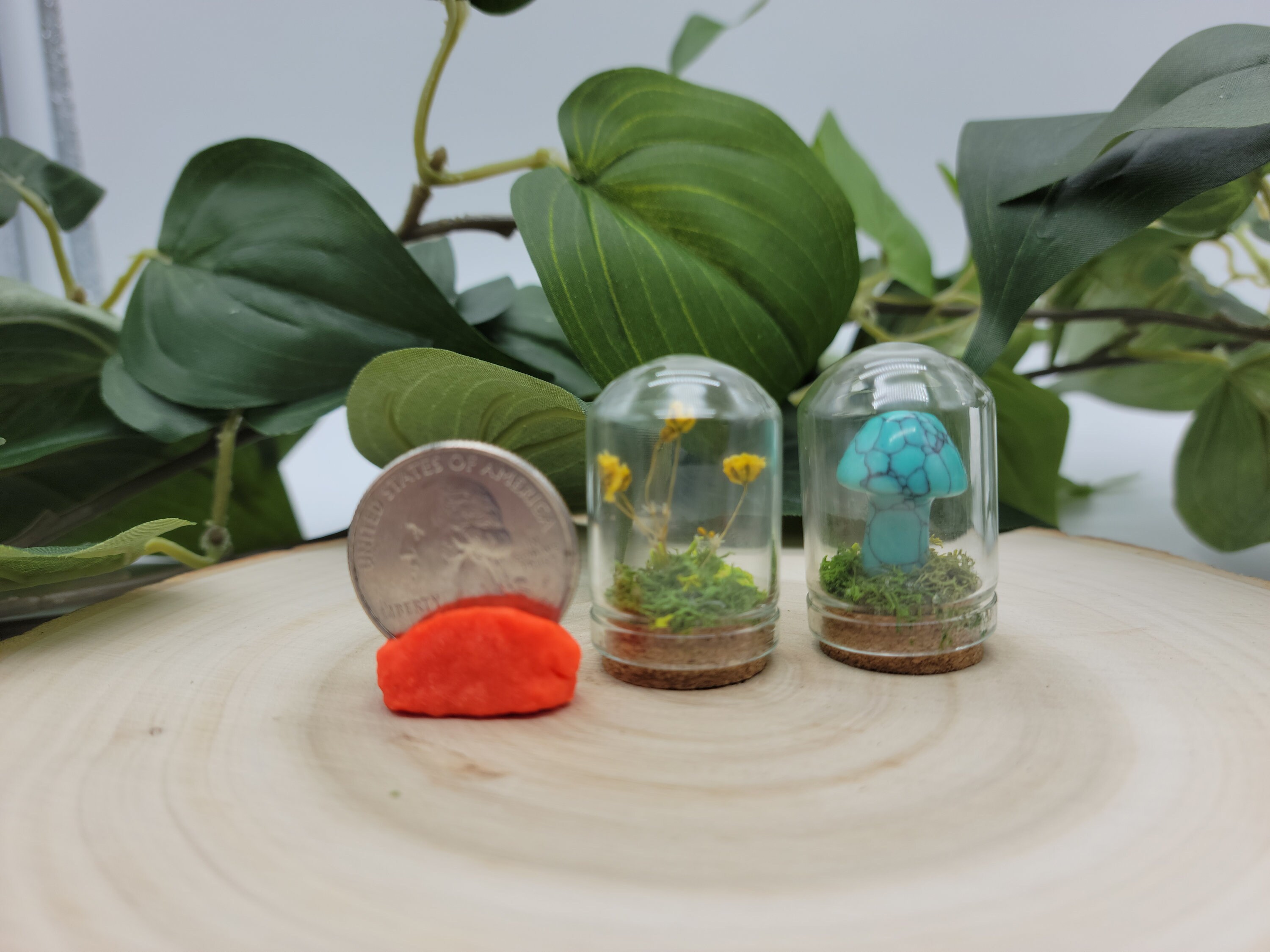 Mini Terrariums Set of 2 With Mushroom, Flowers - Etsy