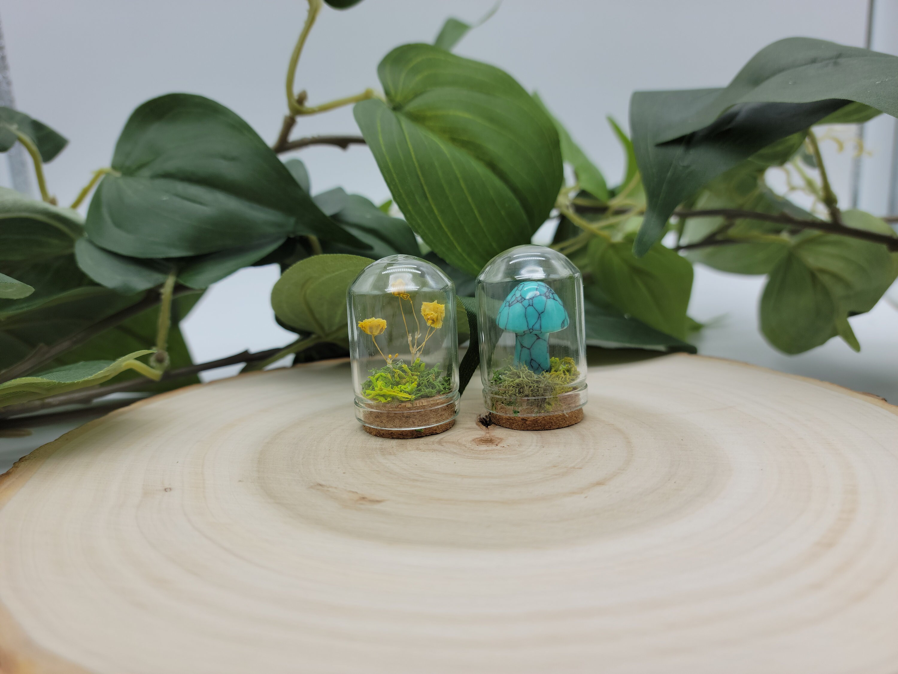 Mini Terrariums Set of 2 With Mushroom, Flowers - Etsy