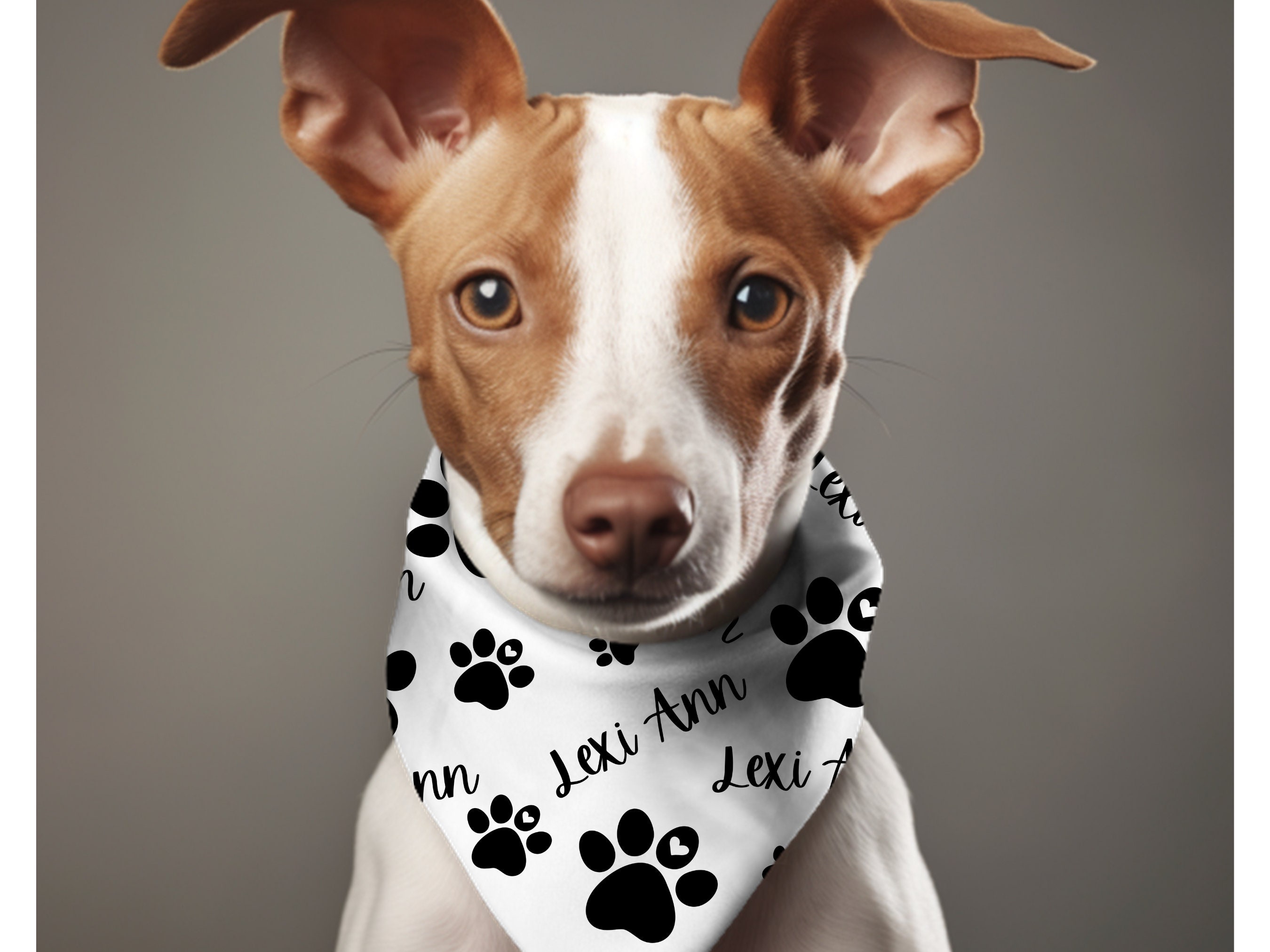 Custom Dog Bandana Personalized Tie on Dog Scarf Dog Supplies New Puppy ...