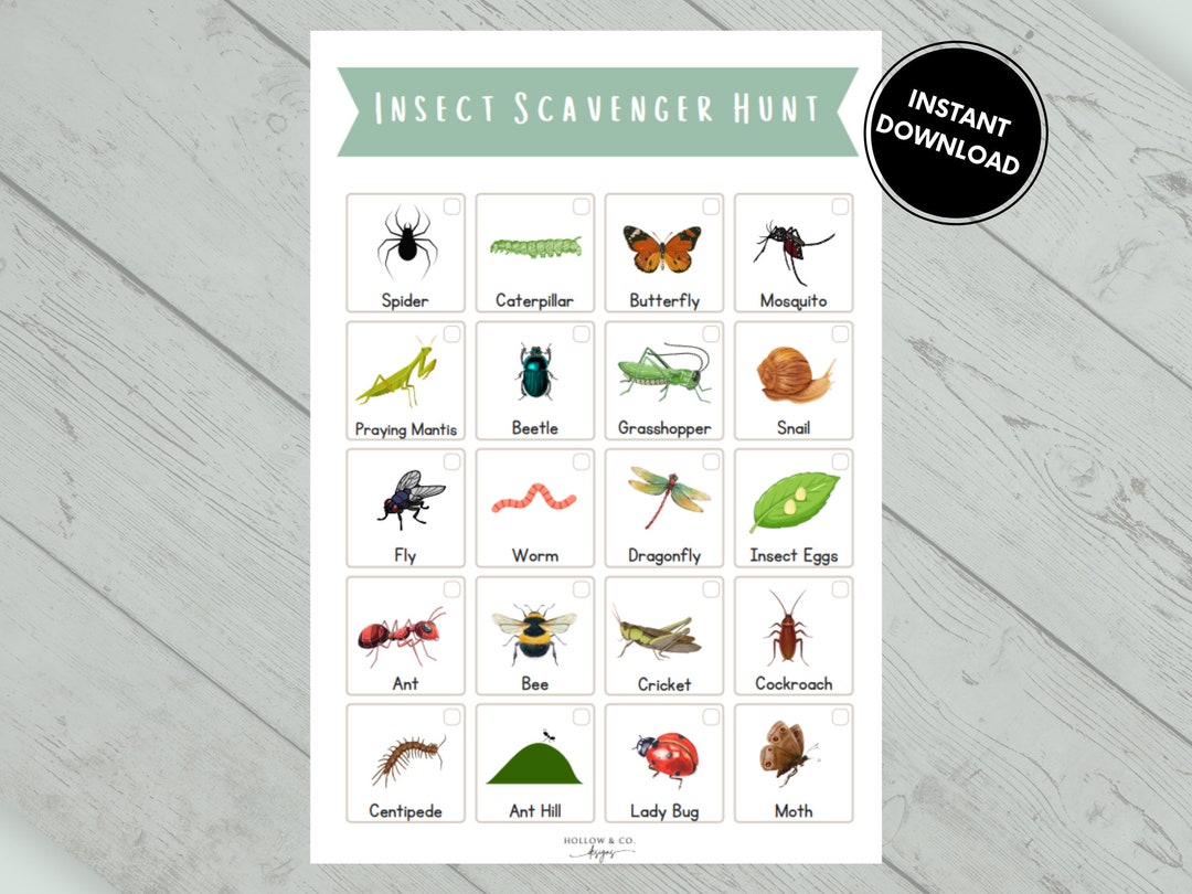 Insect Scavenger Hunt Kids Activities Kids Printable - Etsy