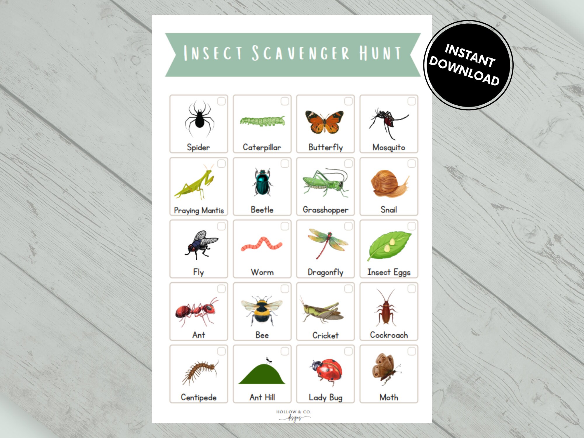 Insect Scavenger Hunt Kids Activities Kids Printable - Etsy