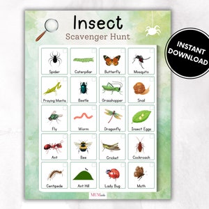 Insect Scavenger Hunt, Kids Activities, Kids Printable Activities, Bug ...