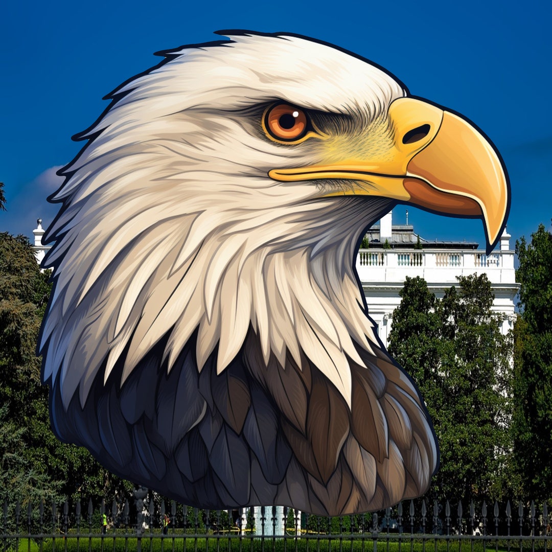 Eagle Vinyl Sticker Bald Eagle Vinyl Sticker Bald Eagle - Etsy