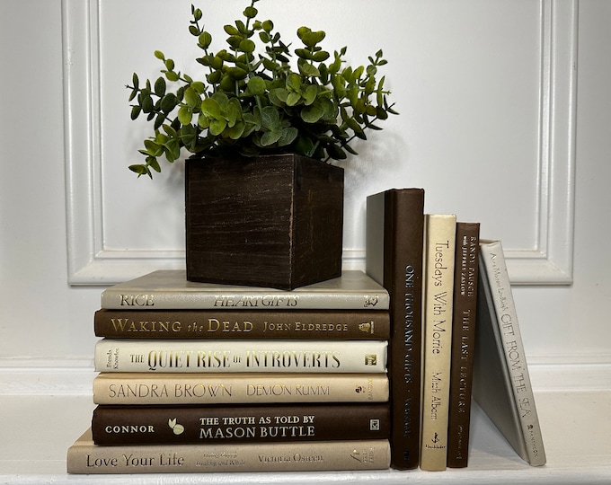 Tan Vintage Book Stack, Coffee Table Books, Shelf Decor Books, Neutral ...