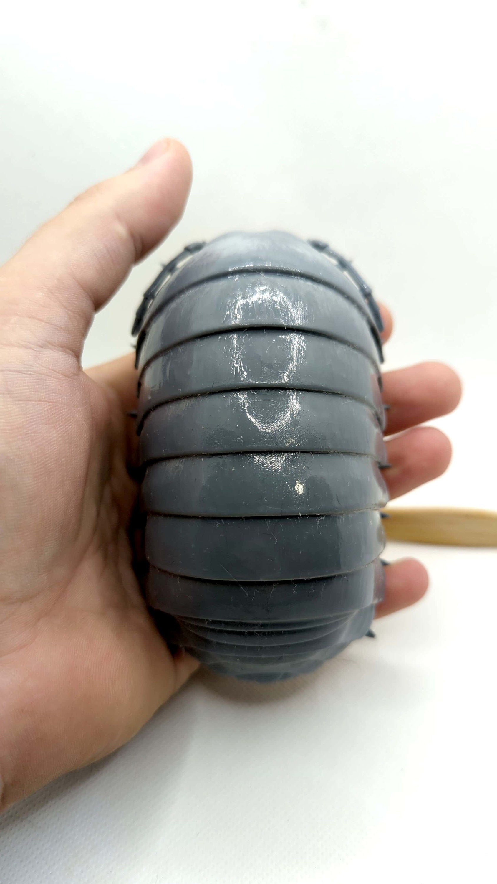 3D Printed Isopod Unpainted 120mm - Etsy