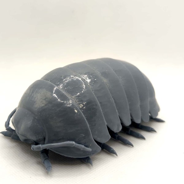 3d Printed Isopods - Etsy