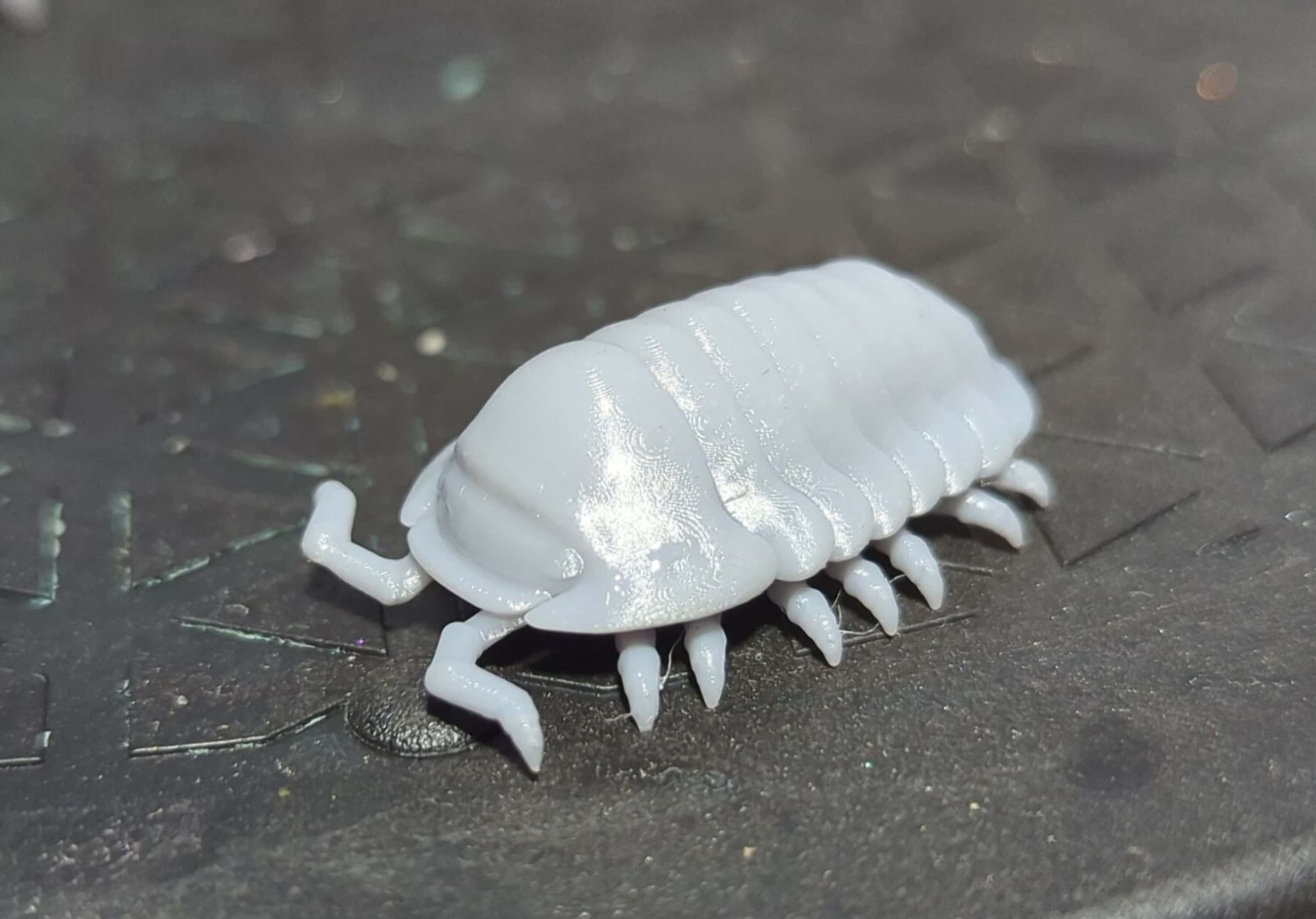 3D Printed Isopod Rubber Ducky Unpainted 40mm 10 Pack - Etsy