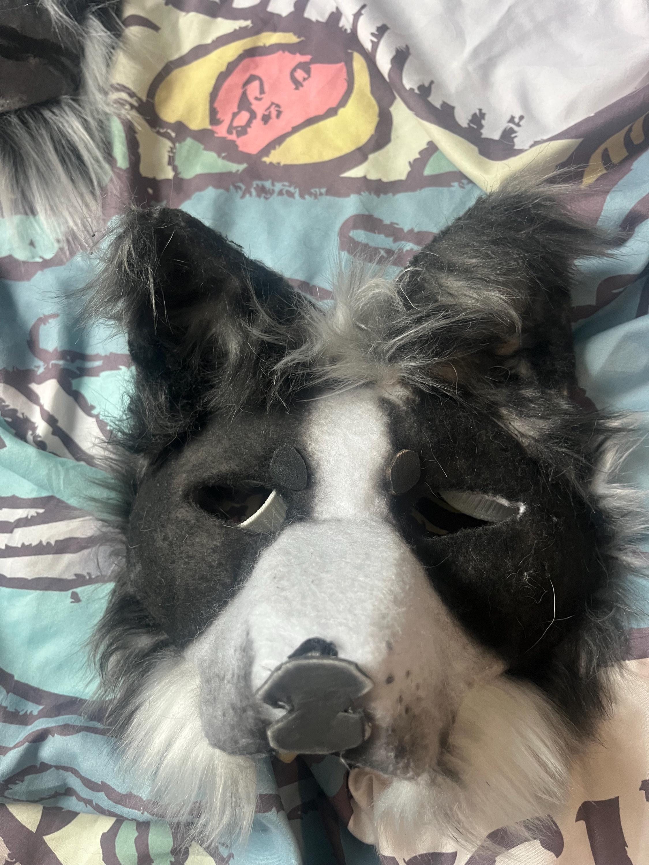 Airbrushed and Lined Border Collie Mask With Bendable Ears Made by ...