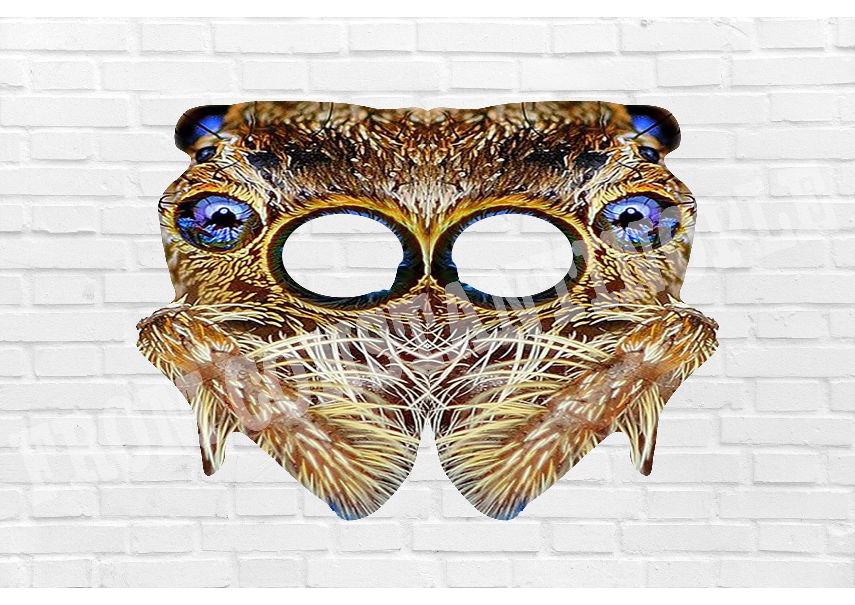 Jumping Spider Mask, Spider Real Photo Mask, Printable Spider Mask ...