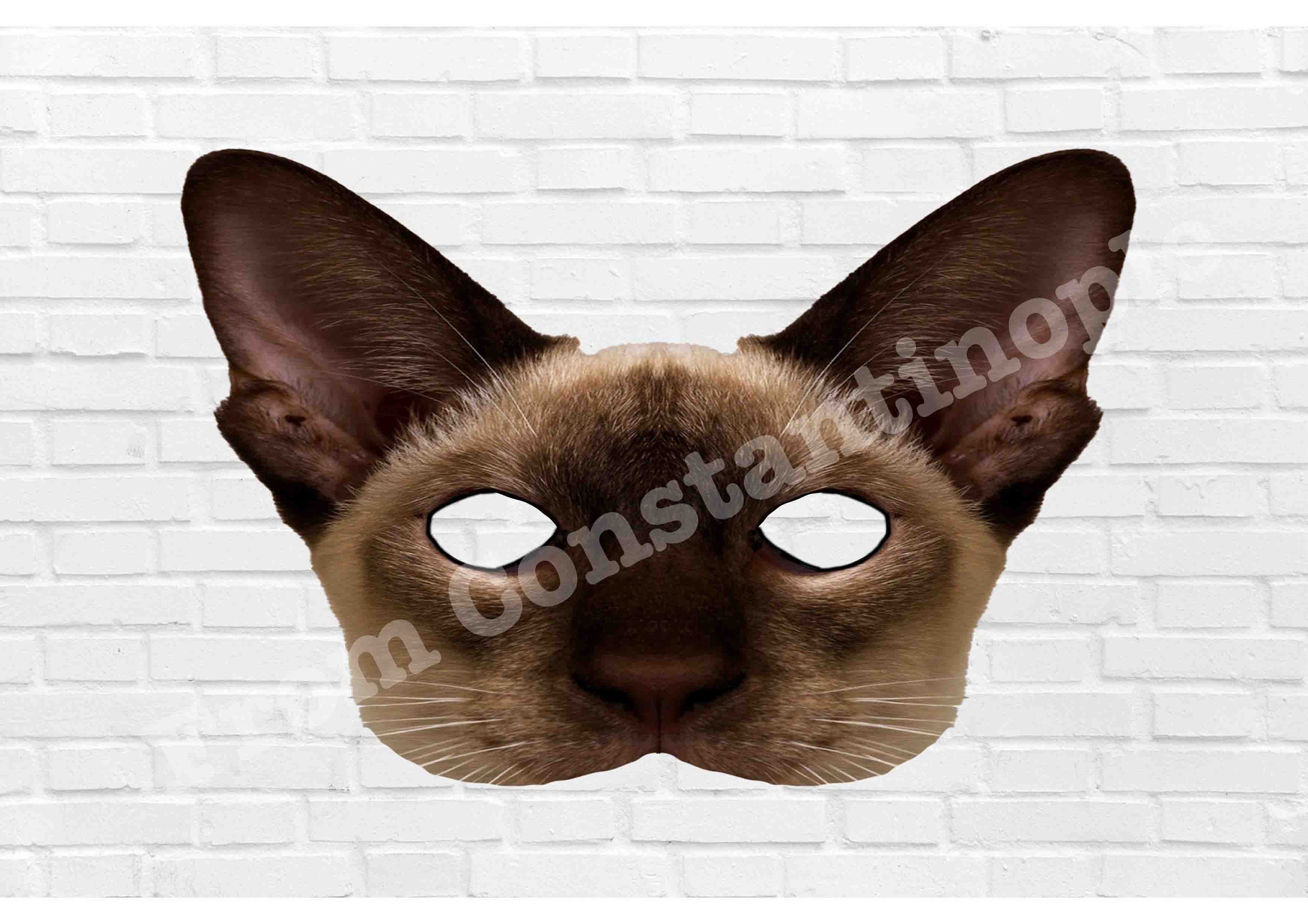 Siamese Cat Printable Mask Cat Siamese Cat Real Photo Cat - Etsy