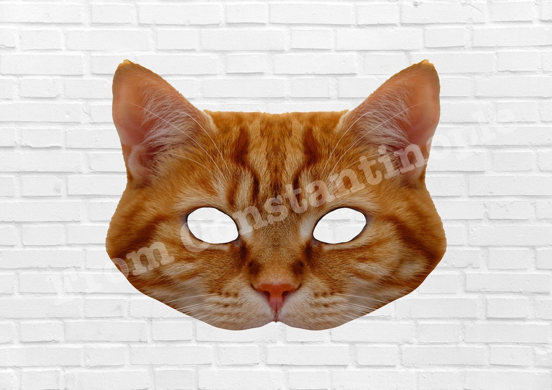 Real Photo Ginger Cat Mask: Printable Halloween Costume (PDF) - Etsy