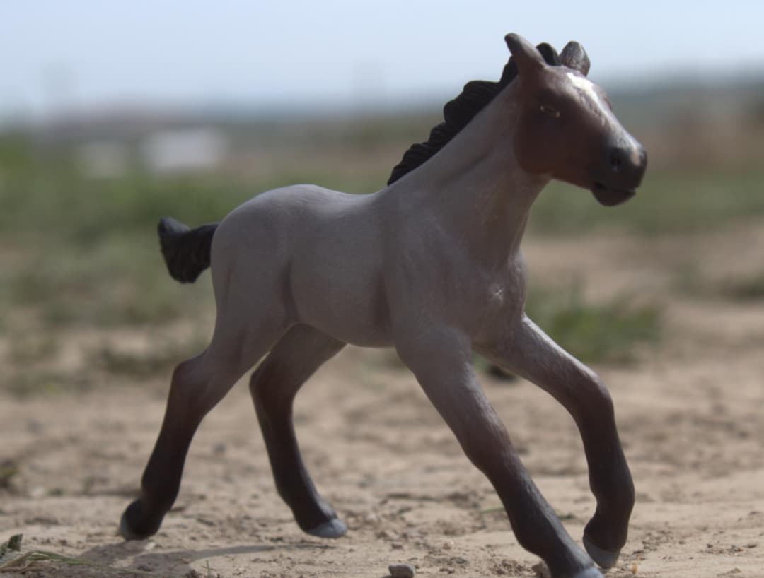 Custom Schleich Horse Repaint Bay Roan Foal - Etsy