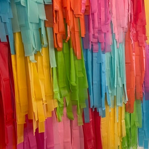 Fiesta Fringe Photo Backdrop - Etsy
