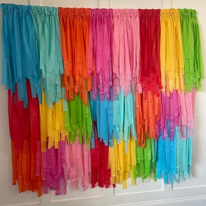 Fiesta Fringe Photo Backdrop - Etsy