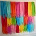 Fiesta Fringe Photo Backdrop - Etsy